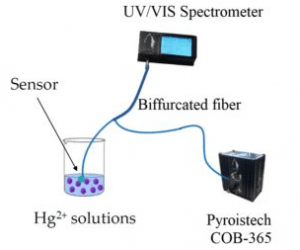 Fiber optic fluorescent sensors heavy metal ions - Pyroistech