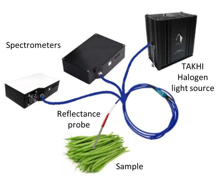 Branch detection in green beans using reflection spectroscopy - Pyroistech