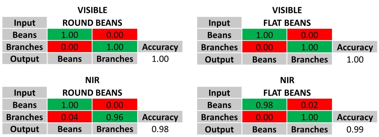 Branch detection in green beans using reflection spectroscopy - Pyroistech